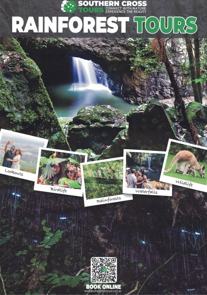 Southern Cross Rainforest Tours | Brochure website